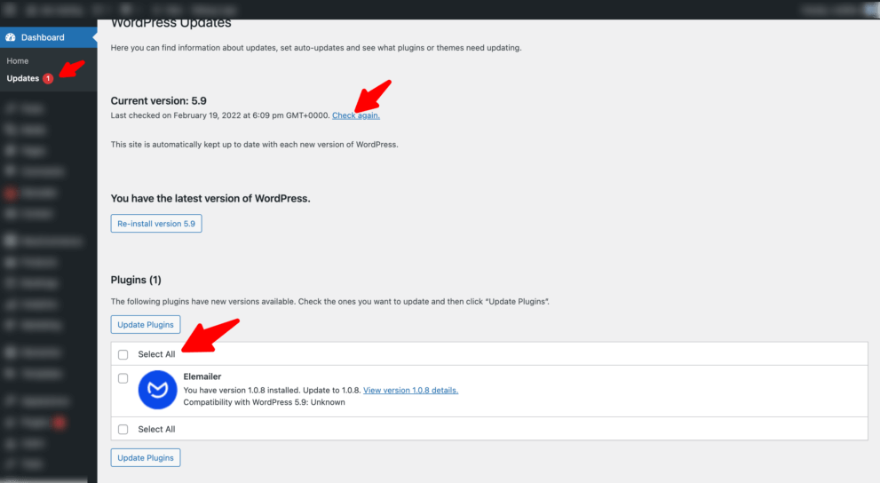 Elemailer Plugin Update Issues | Elemailer